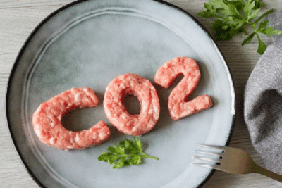 Comment adapter sa consommation de viande aux enjeux environnementaux ? - VITALREST